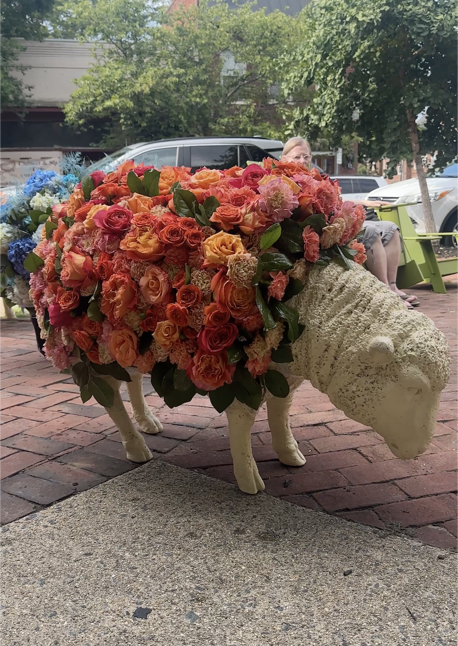 Floral Installation Art | Petal's Edge Floral Design