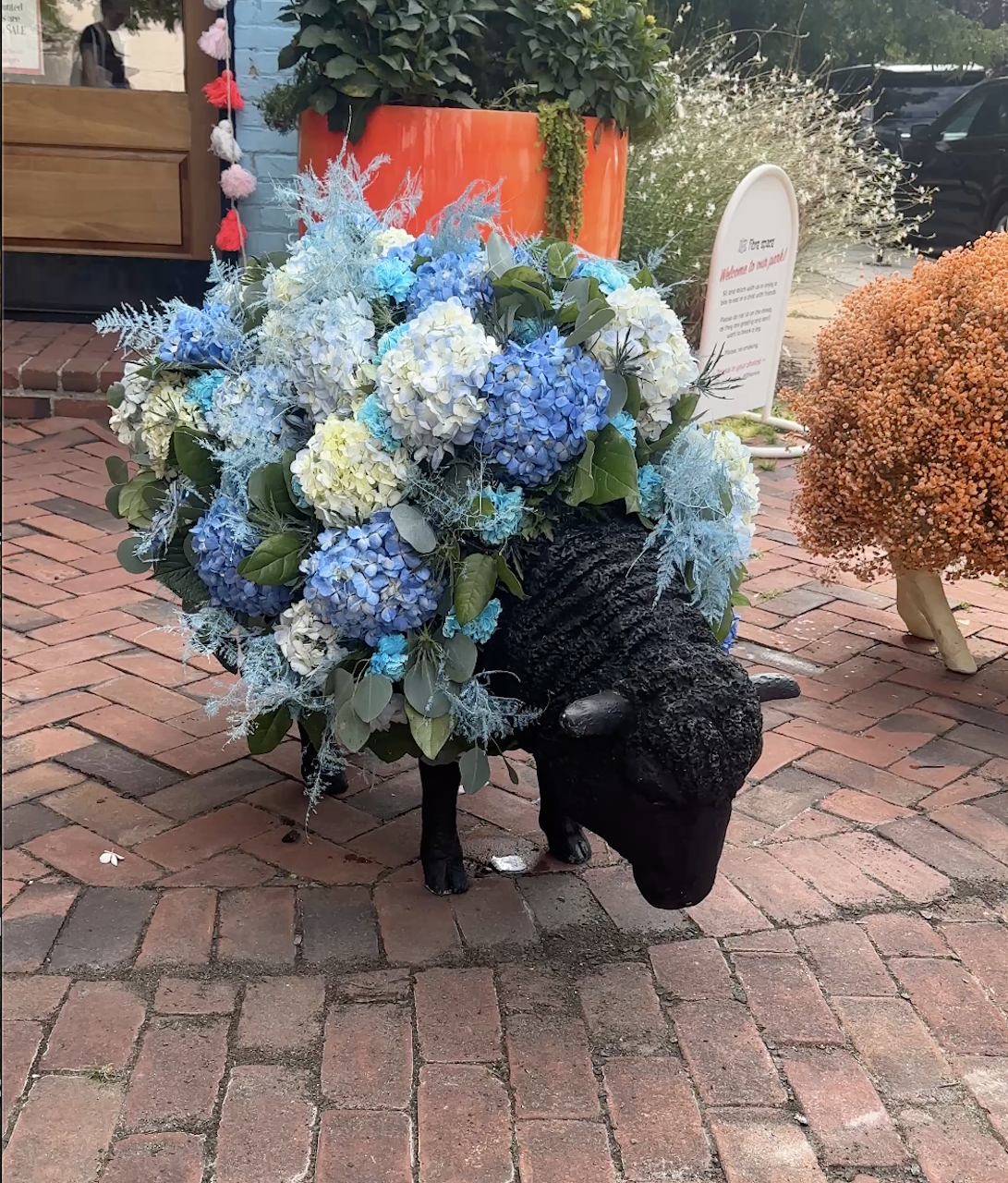 Floral Installation Art | Petal's Edge Floral Design